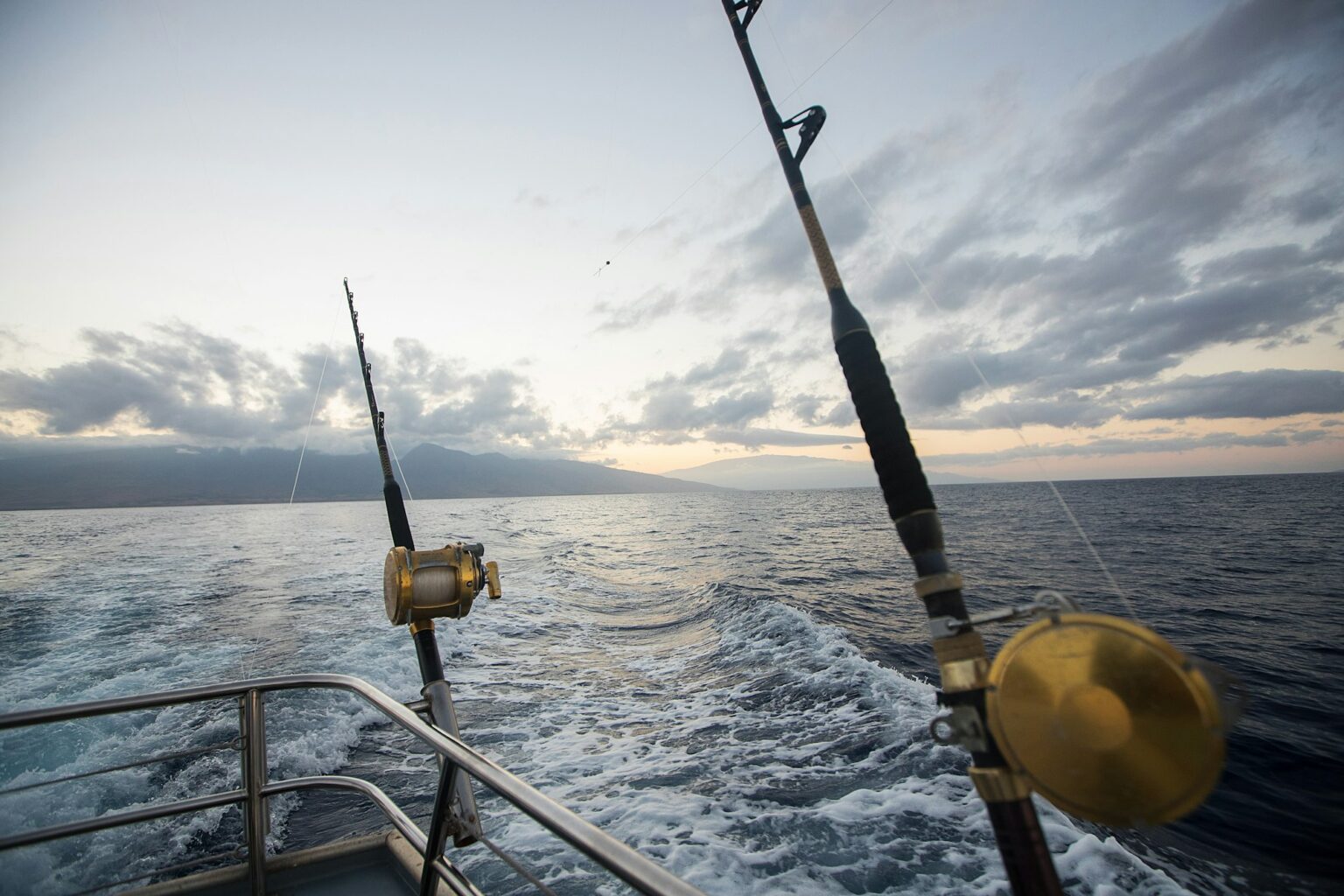 Guide to Deep Sea and Shore Fishing in Rincon, Puerto Rico - Going Coastal